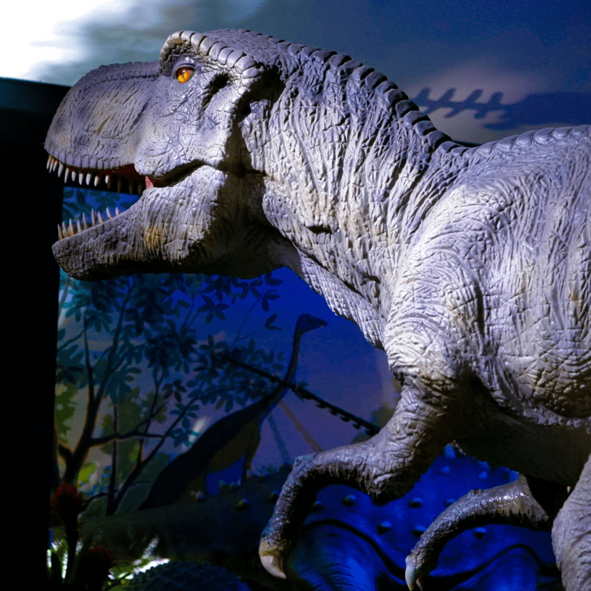 National Dinosaur Museum | Canberra, Australia